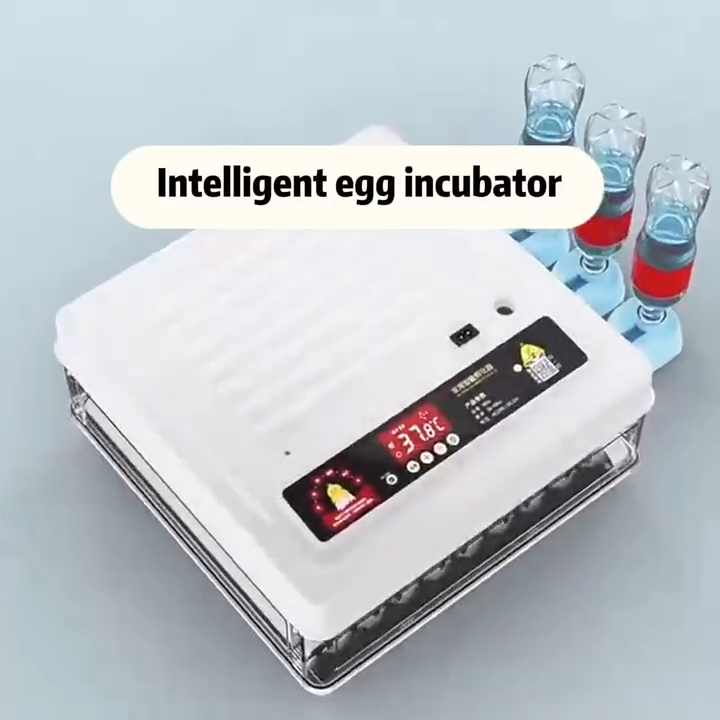 Egg Incubator 6/9/12/15/24/30/36/48/56/64/72 Eggs Fully Automatic Egg Incubator Intelligent ...