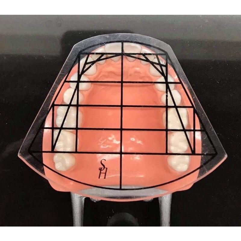 Guide plate Templates teeth arrangement on denture work Dental | Lazada PH