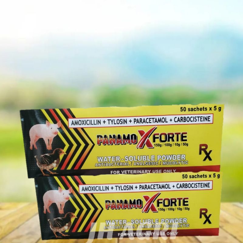 Panamox Forte Powder 5g Manok Panabong 1 Sachet | Lazada PH