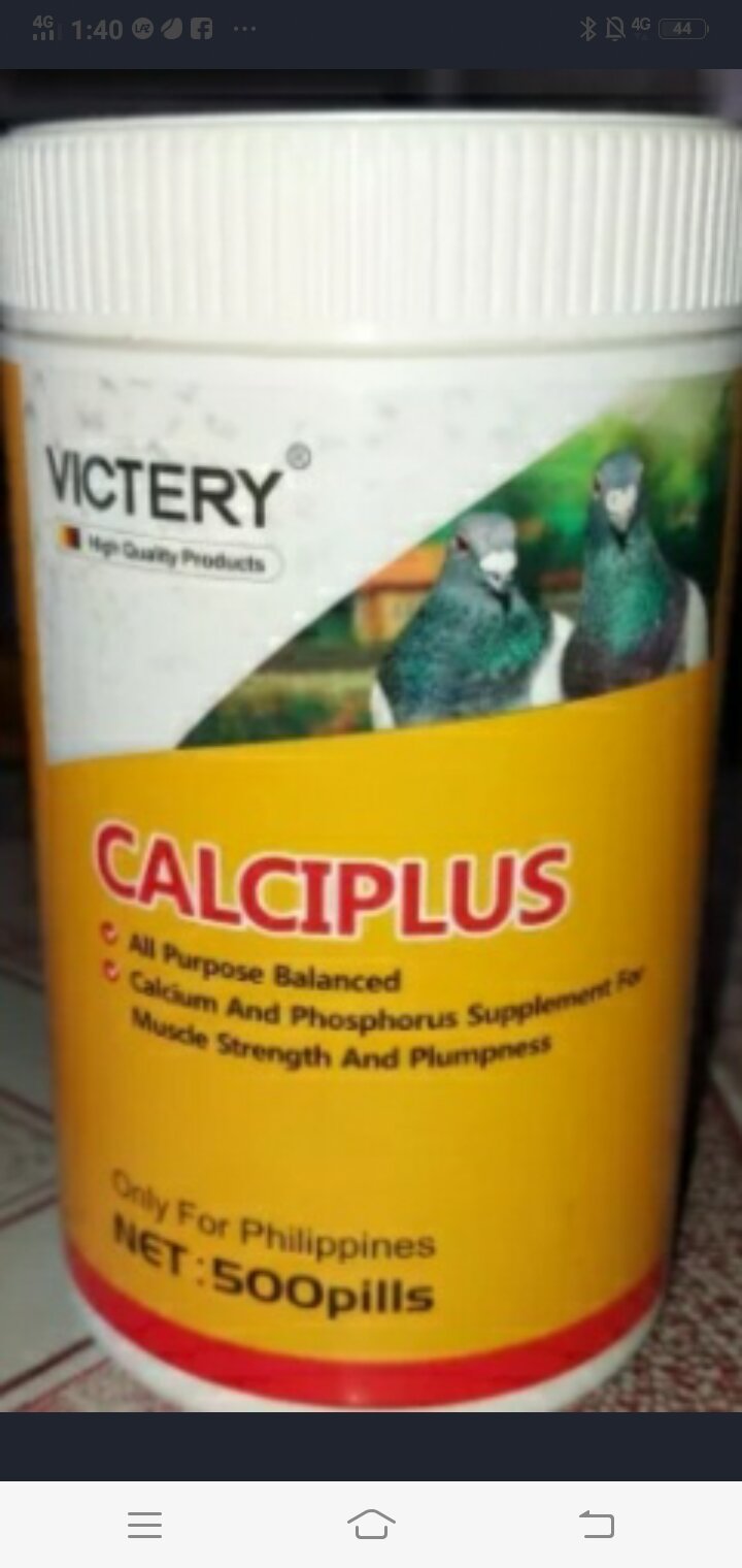 VICTERY CALCIPLUS 30 PCS FOR RACING PIGEON PAMPATIGAS NG BUTO NG ...