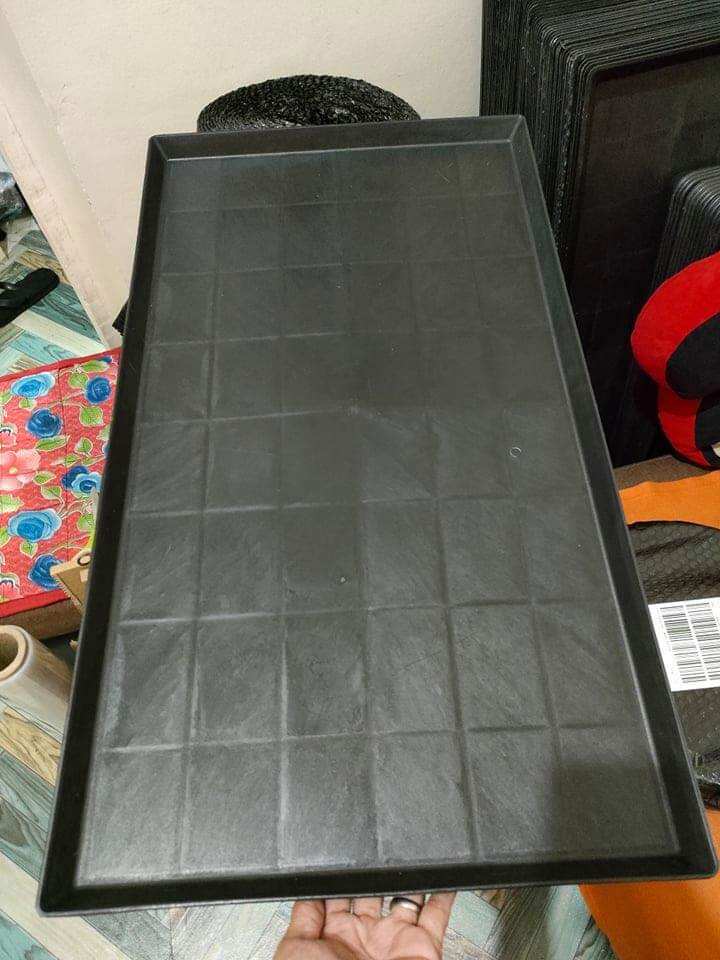 17x30 poop tray.... poop tray 17x30 | Lazada PH