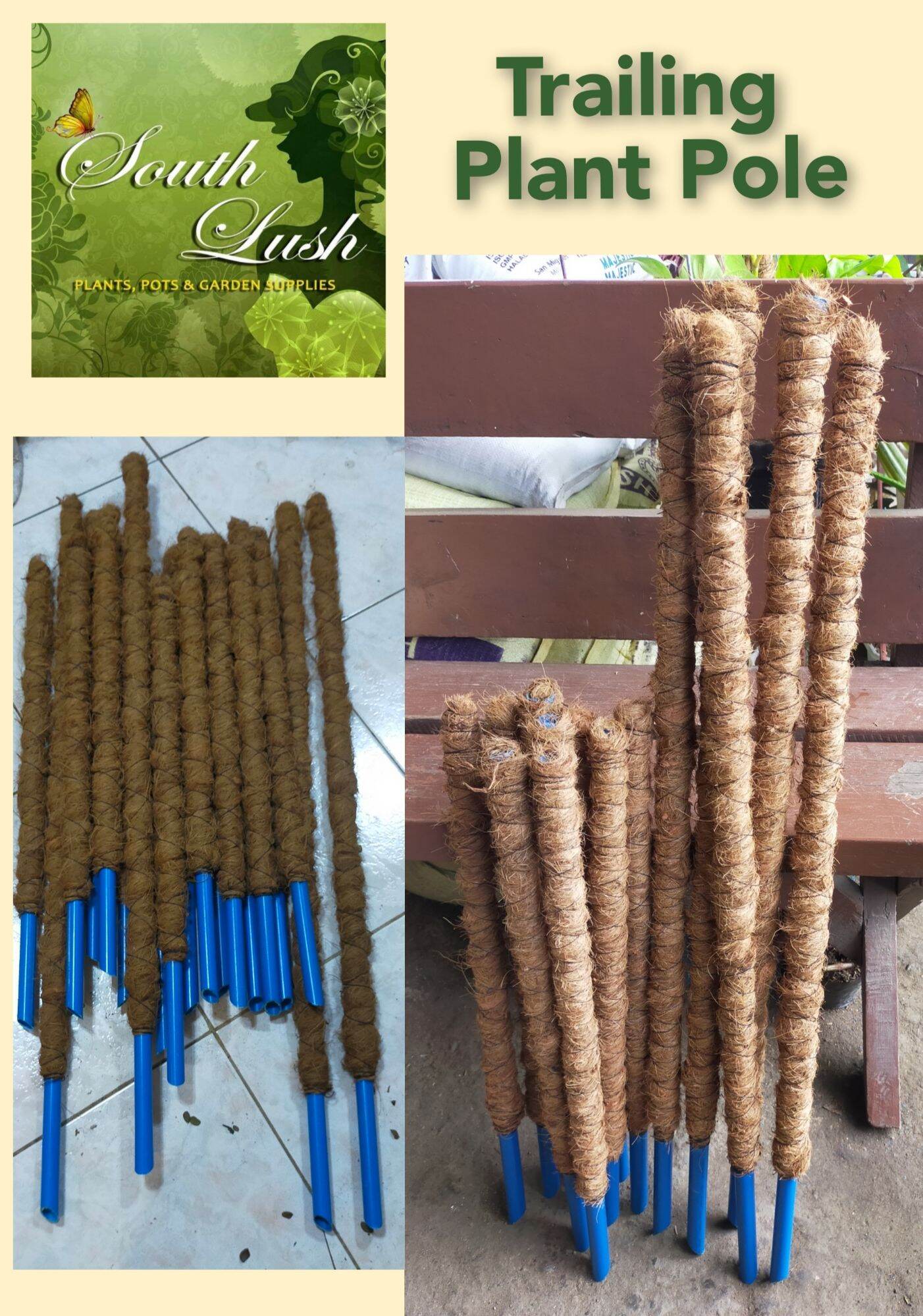 Plant Trailing Coco Pole (PVC Pipe) | Lazada PH