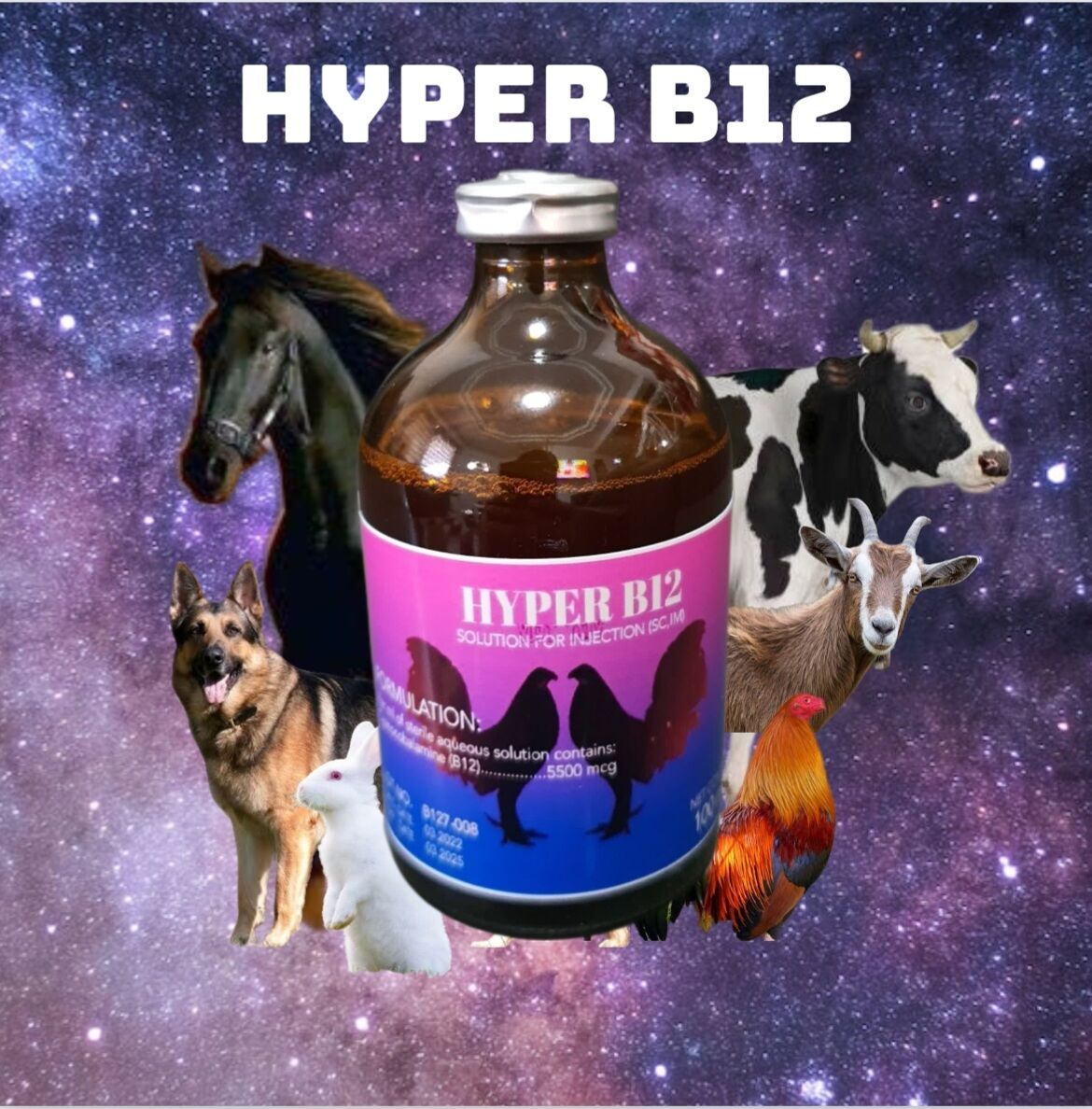 Hyper B12 100ml | Lazada PH