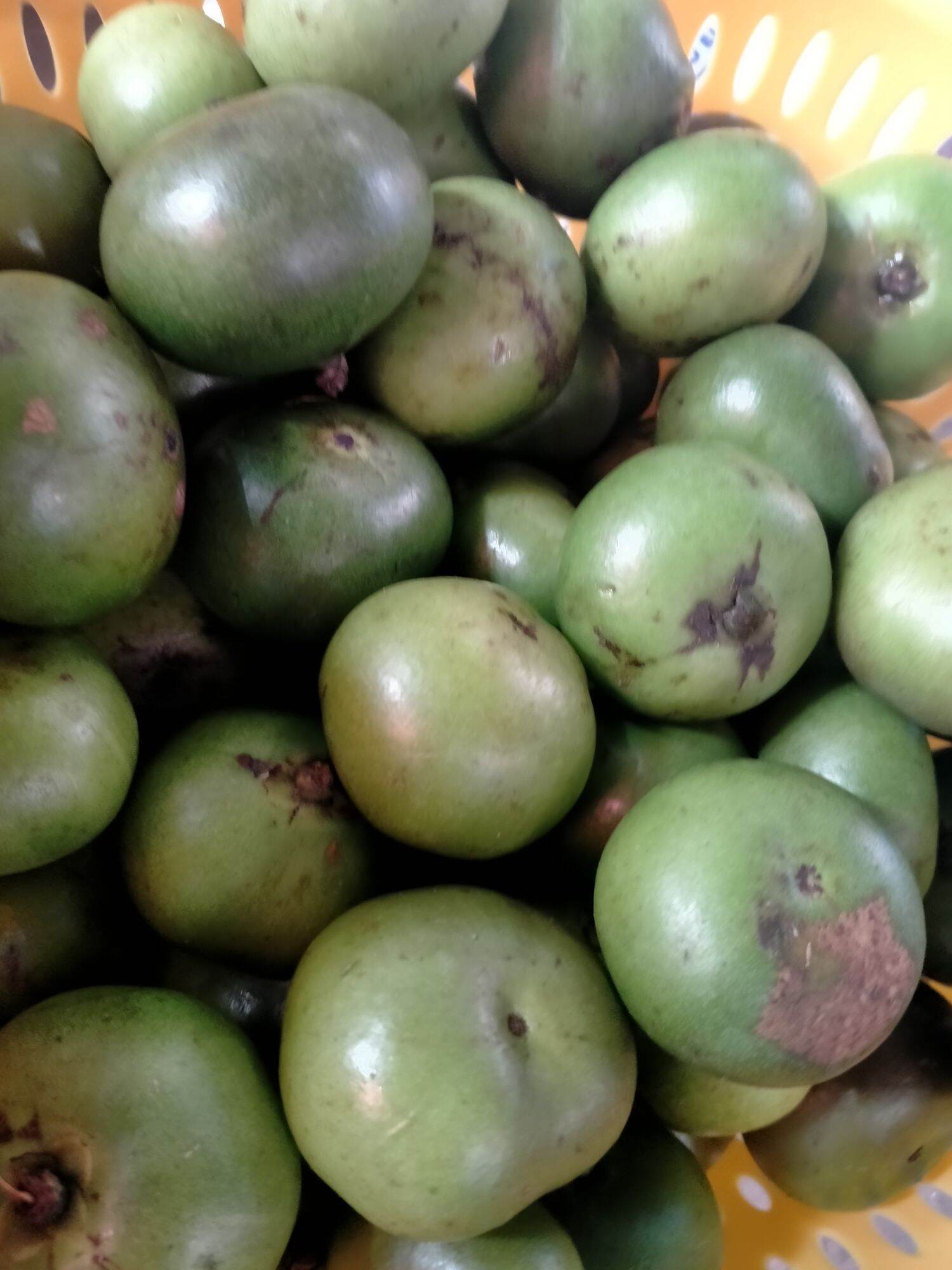 Batwan Kadyos Best for KBL Metro Manila Only