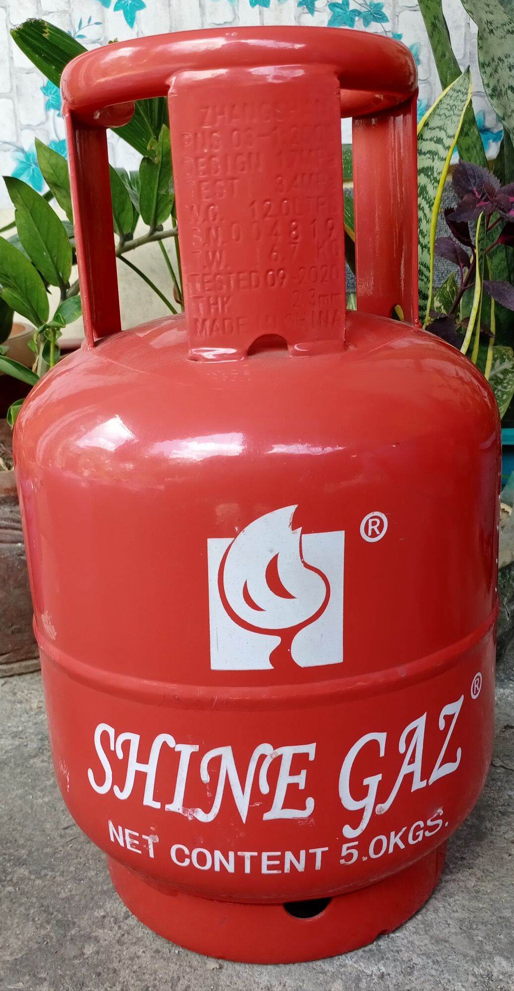 LPG TANK 5 Kg (SHINEGAS) | Lazada PH