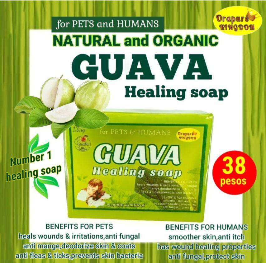 guava HEALING soap 135g | Lazada PH
