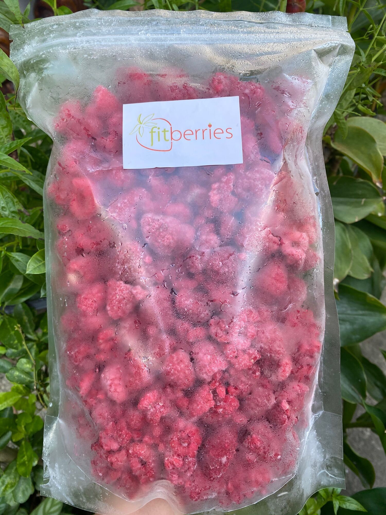 Fit B. Frozen Raspberry 1kg (within metro manila only) | Lazada PH