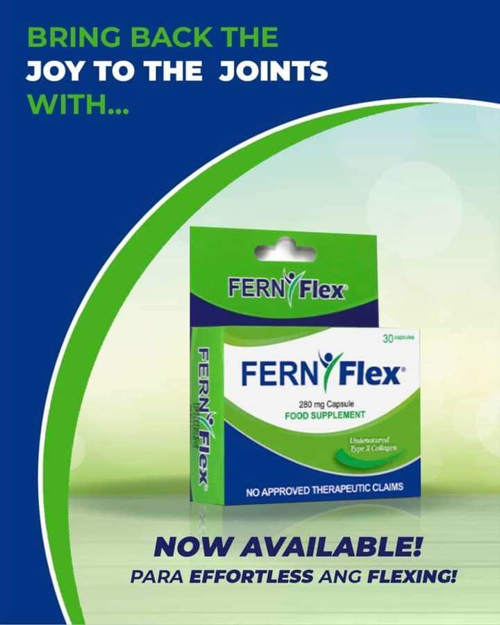 Fern Flex | Lazada PH