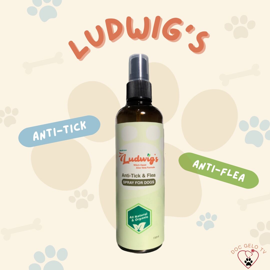 Ludwig’s by Doc Gelo TV (All Natural Tick & Flea Spray) 150ml | Lazada PH