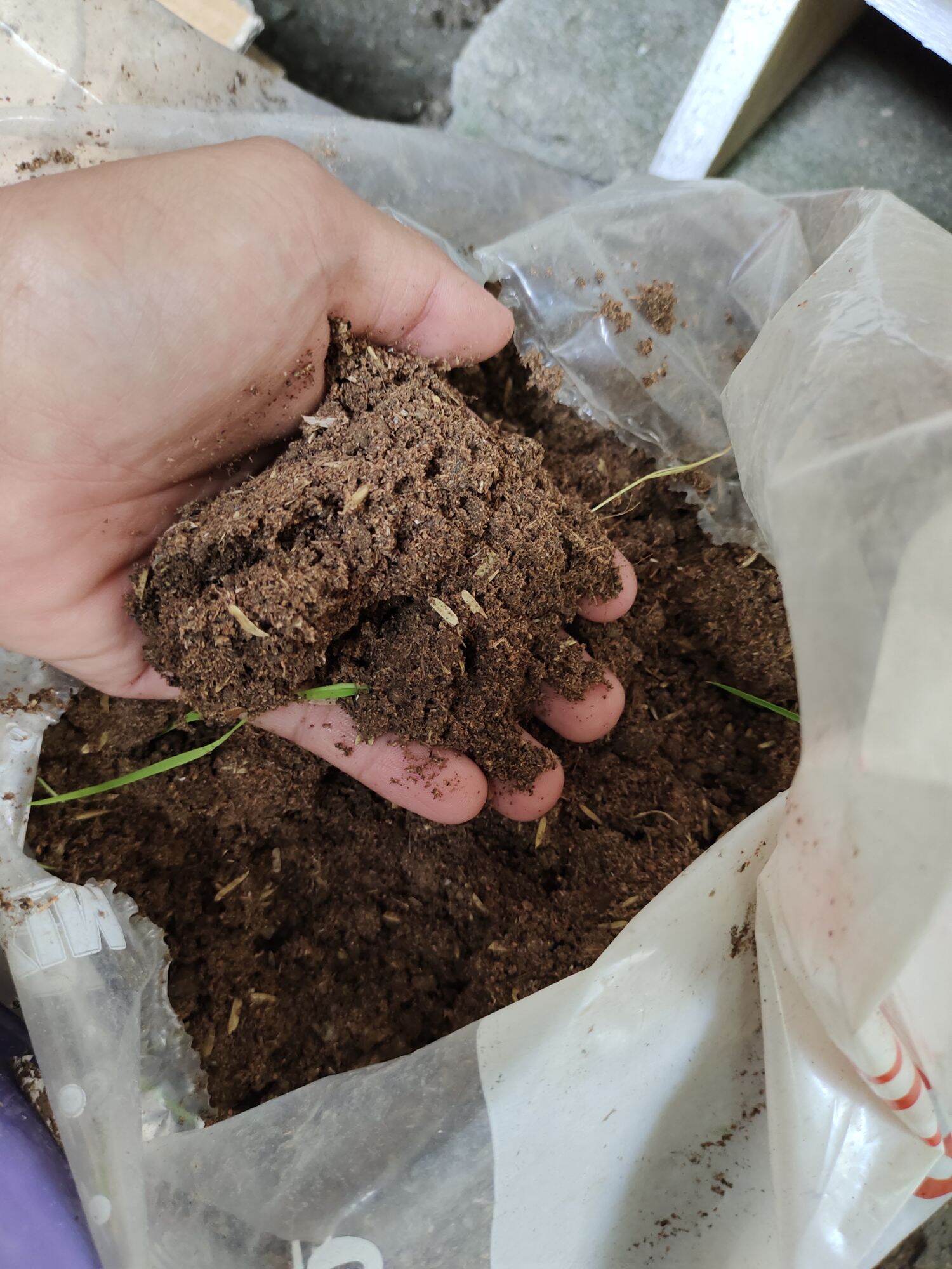 Organic loam soil for plants 2 kilo | Lazada PH