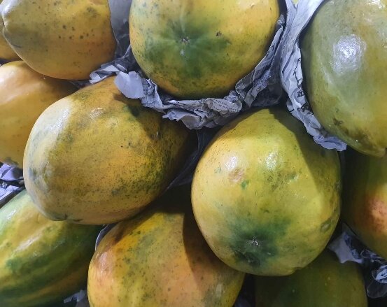 JUMBO Red lady papaya big rounded 1piece | Lazada PH