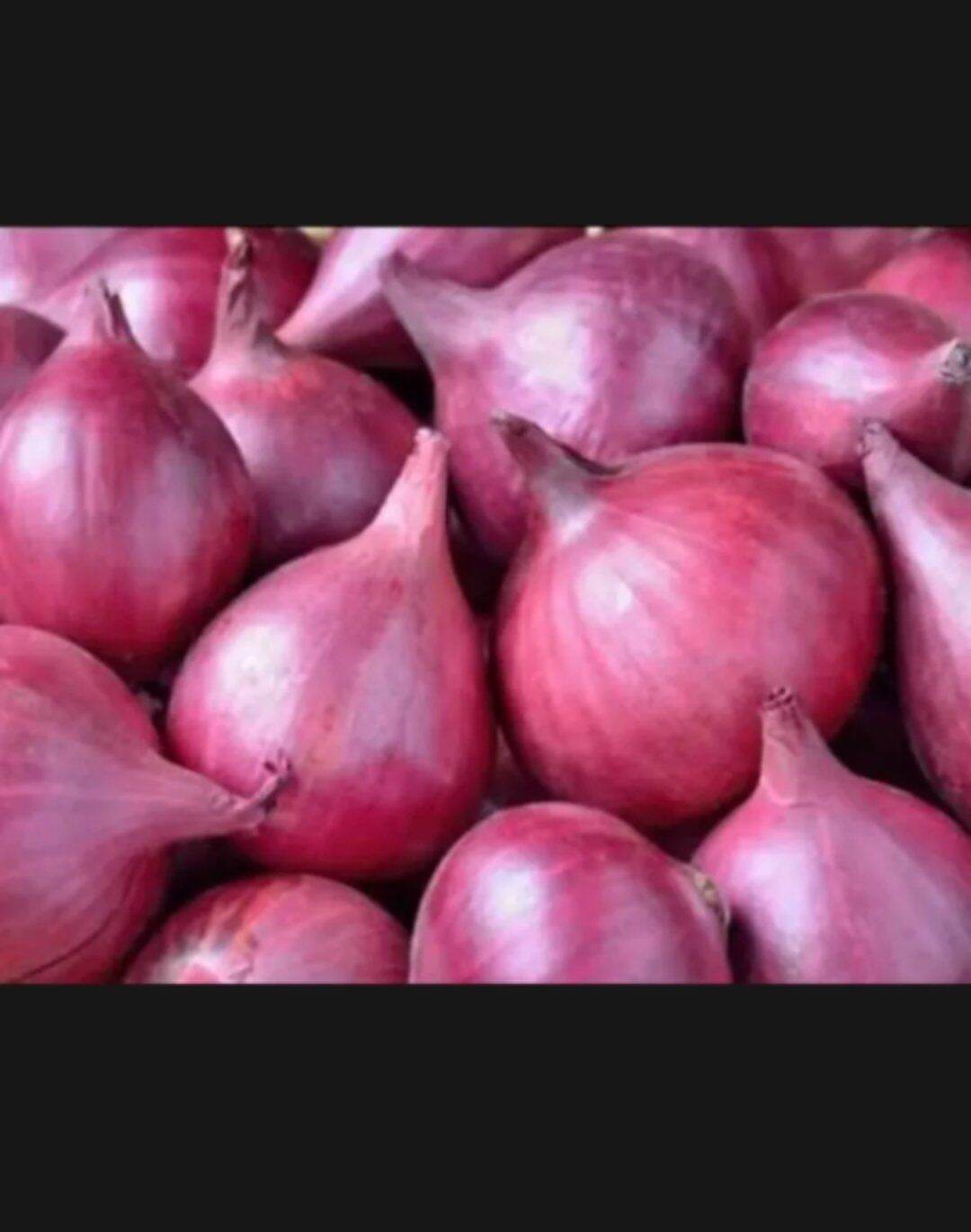 Sibuyas Pula 1k /Bawang/Garlic/Potato/Luya (not seed) | Lazada PH