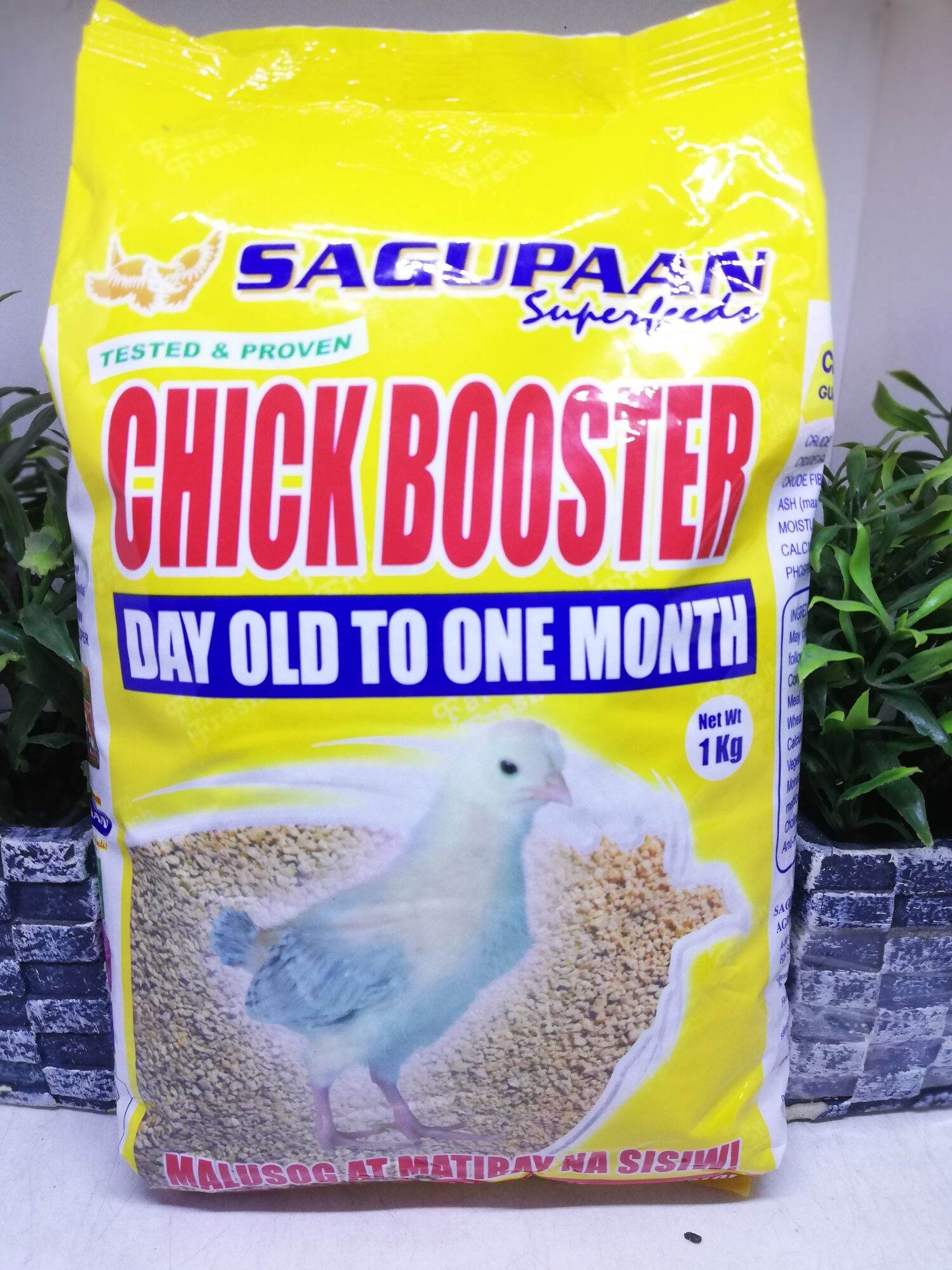 Sagupaan Chick Booster (1kg) | Lazada PH