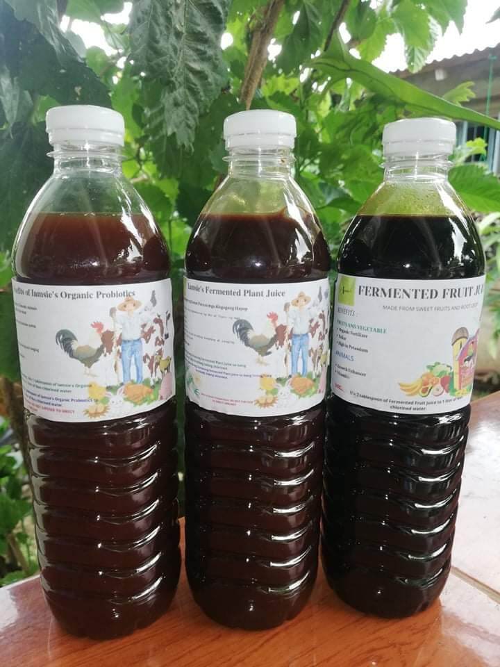 organic Probiotics /Fermented Plant Juice/Fermented Fruit Juice Organic ...
