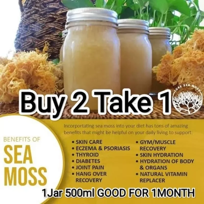 Seamoss from Philippines | Lazada PH