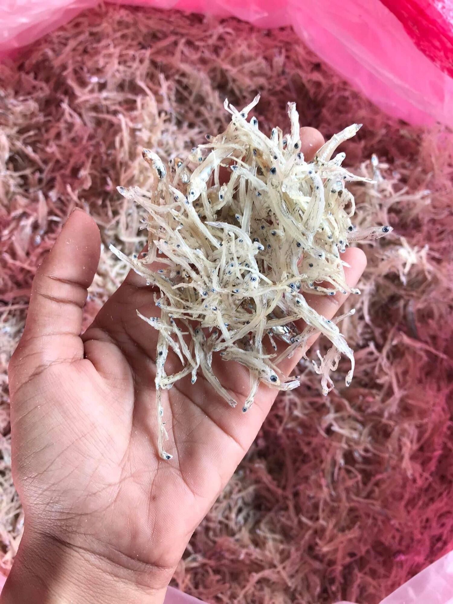 White Dilis /Buwadnon VACUUM SEALED from Bantayan Island Cebu. Per 100 ...