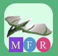 Roblox Adopt Me Mega Fly Ride Pets Gamecard | Lazada PH