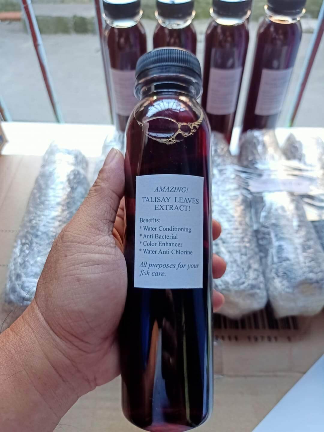 Talisay Extract | Lazada PH