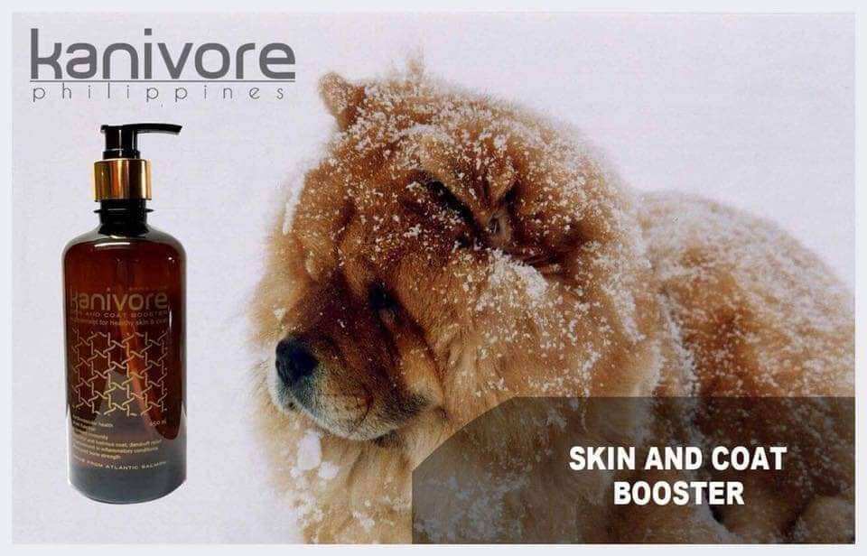 Kanivore Booster 450ml | Lazada PH