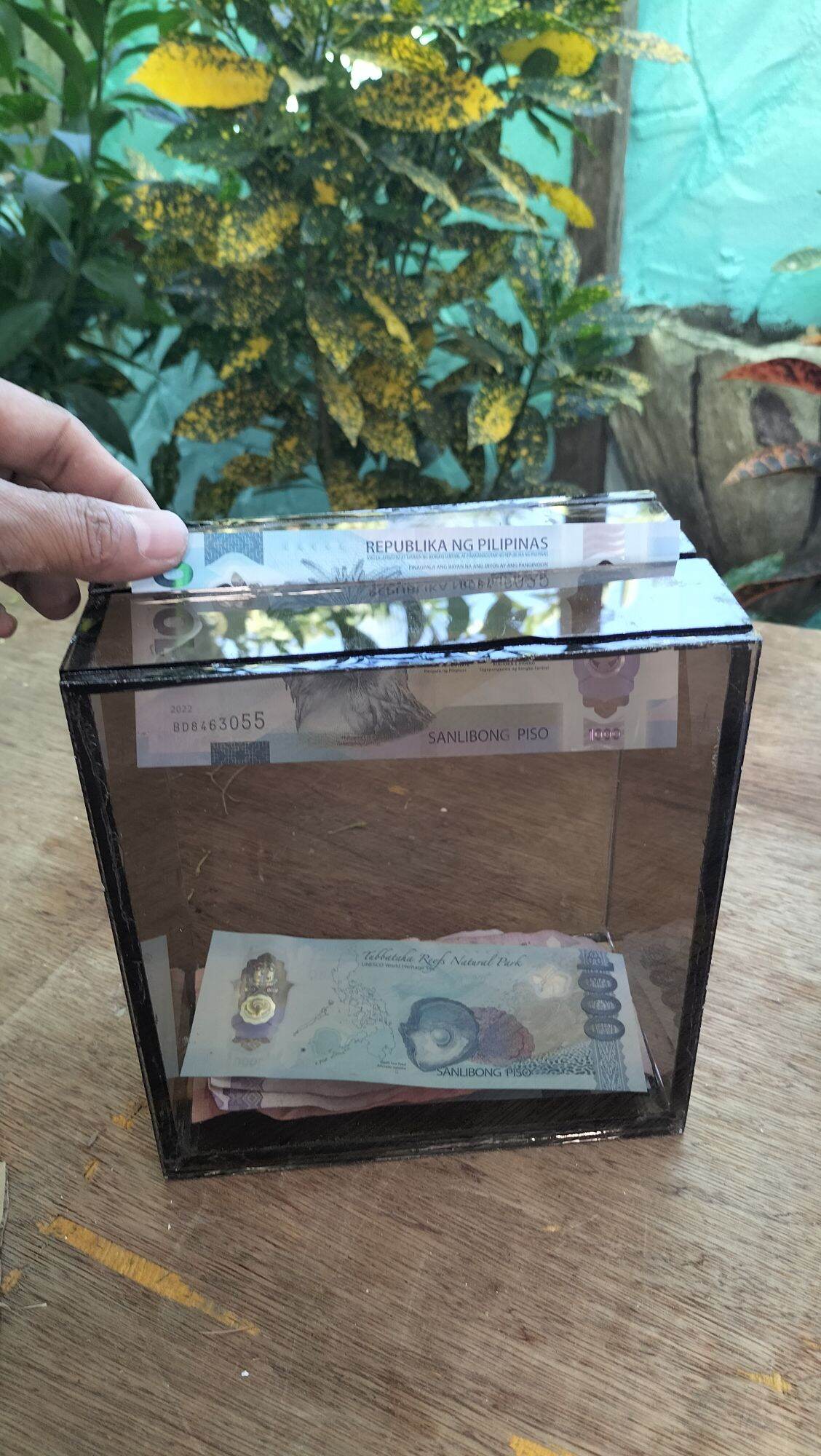 glass alkansya paper and coin w4x7Lxh6inches | Lazada PH