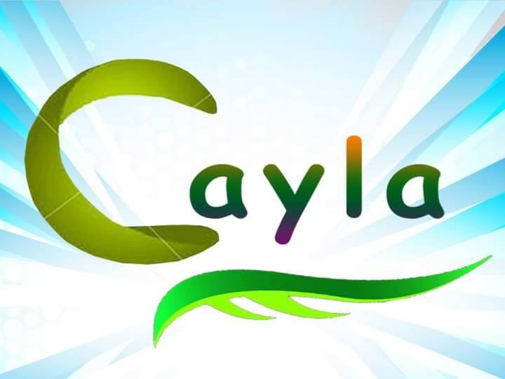Cayla Arts and Crafts Official Store in the Philippines, Online Shop 01 ...