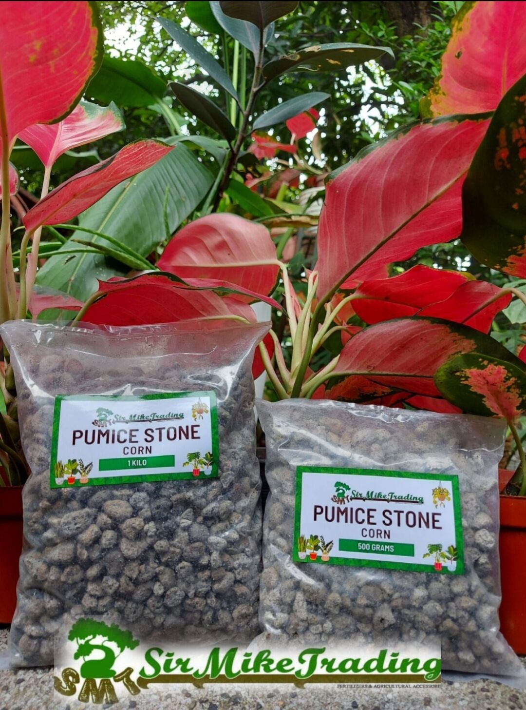 Pumice Stone Corn Size 500 grams and 1 kilo | Lazada PH
