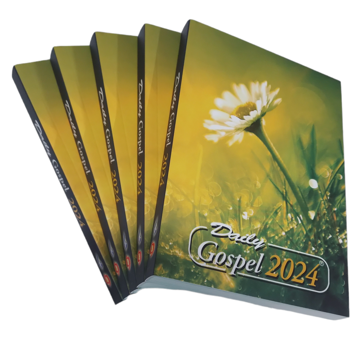 Daily Gospel 2024 | Lazada PH