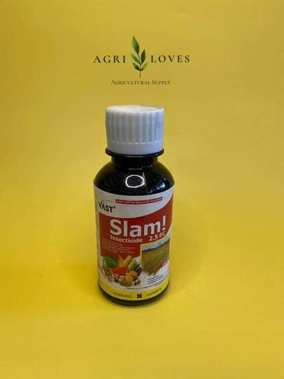Slam! 2.5 EC Insecticide (100ml) - Vast | Lazada PH