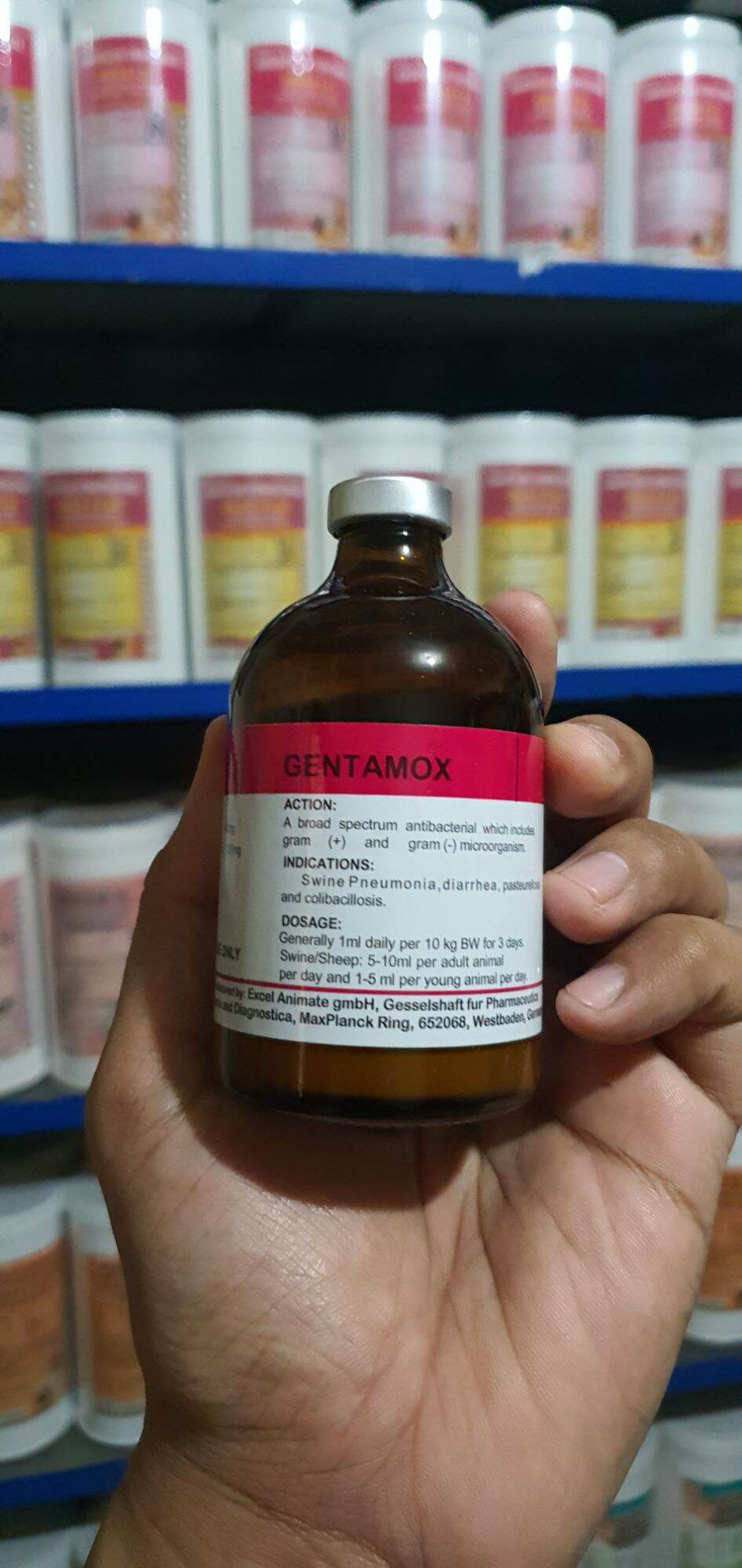 gentamox 100ml | Lazada PH