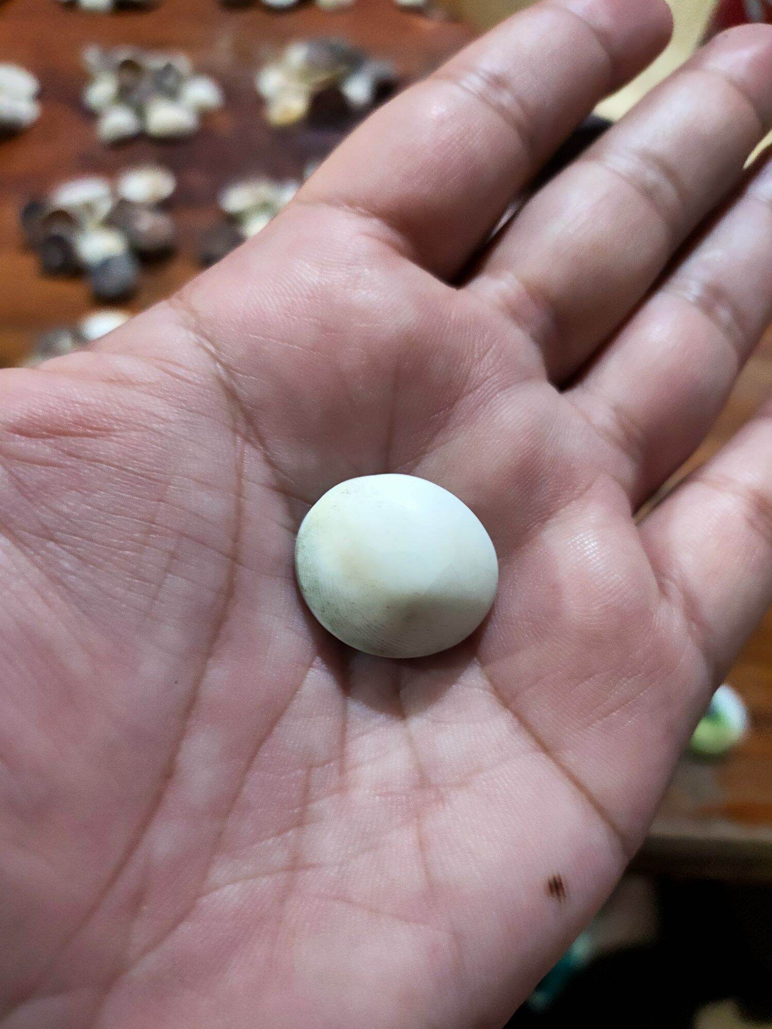 Bayuko white swerte sa pera, sugal, negosyo | Lazada PH