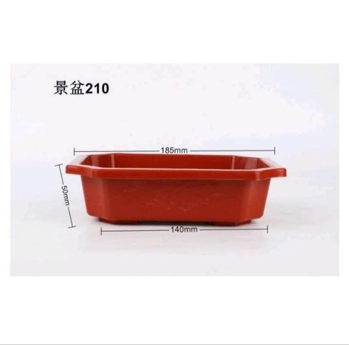 RECTANGULAR PLASTIC POT WITH HOLE 14cm, 16cm, 18cm | Lazada PH