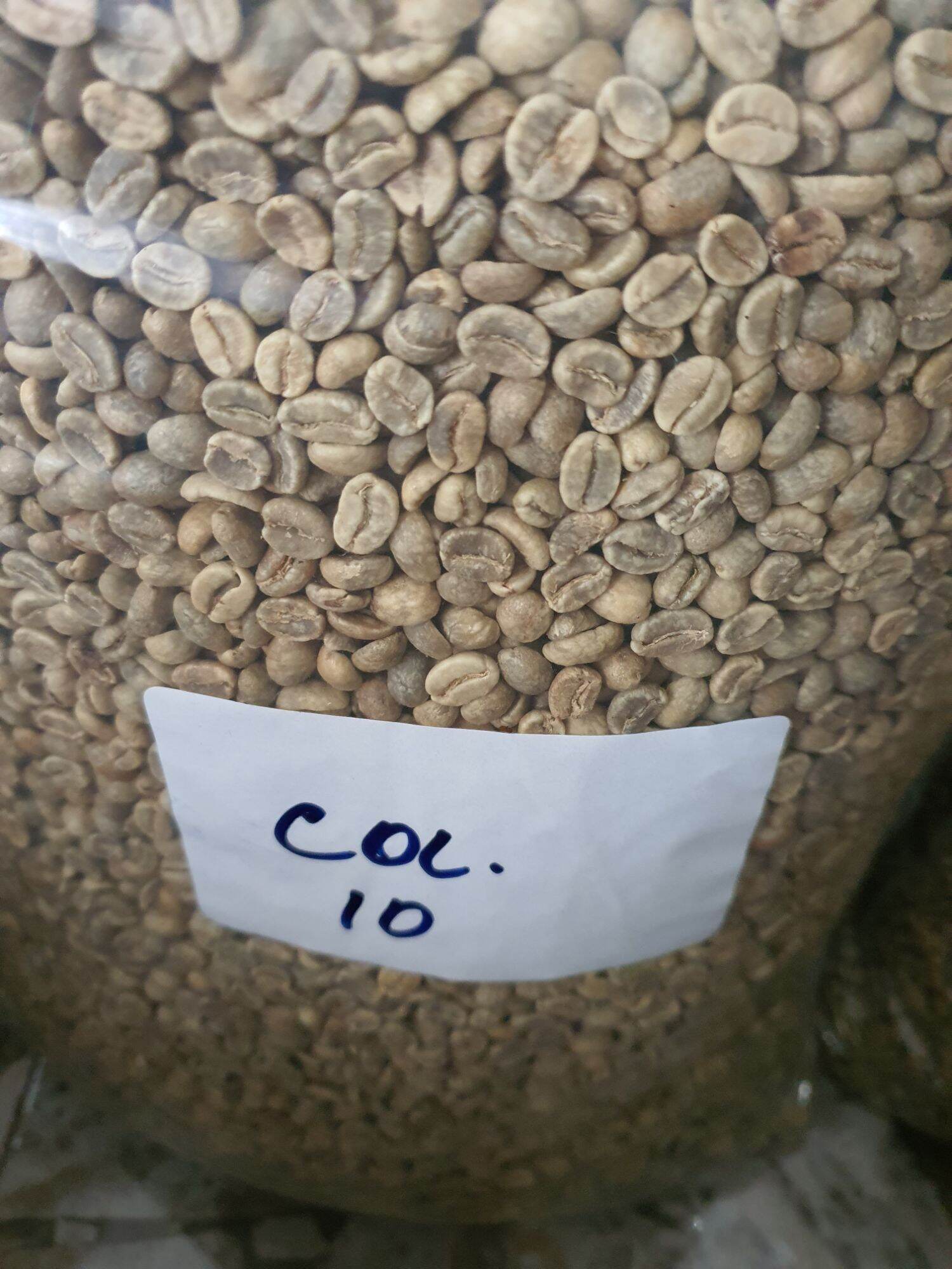 COLUMBIA SUPREMO GREEN COFFEE BEANS 1KG | Lazada PH