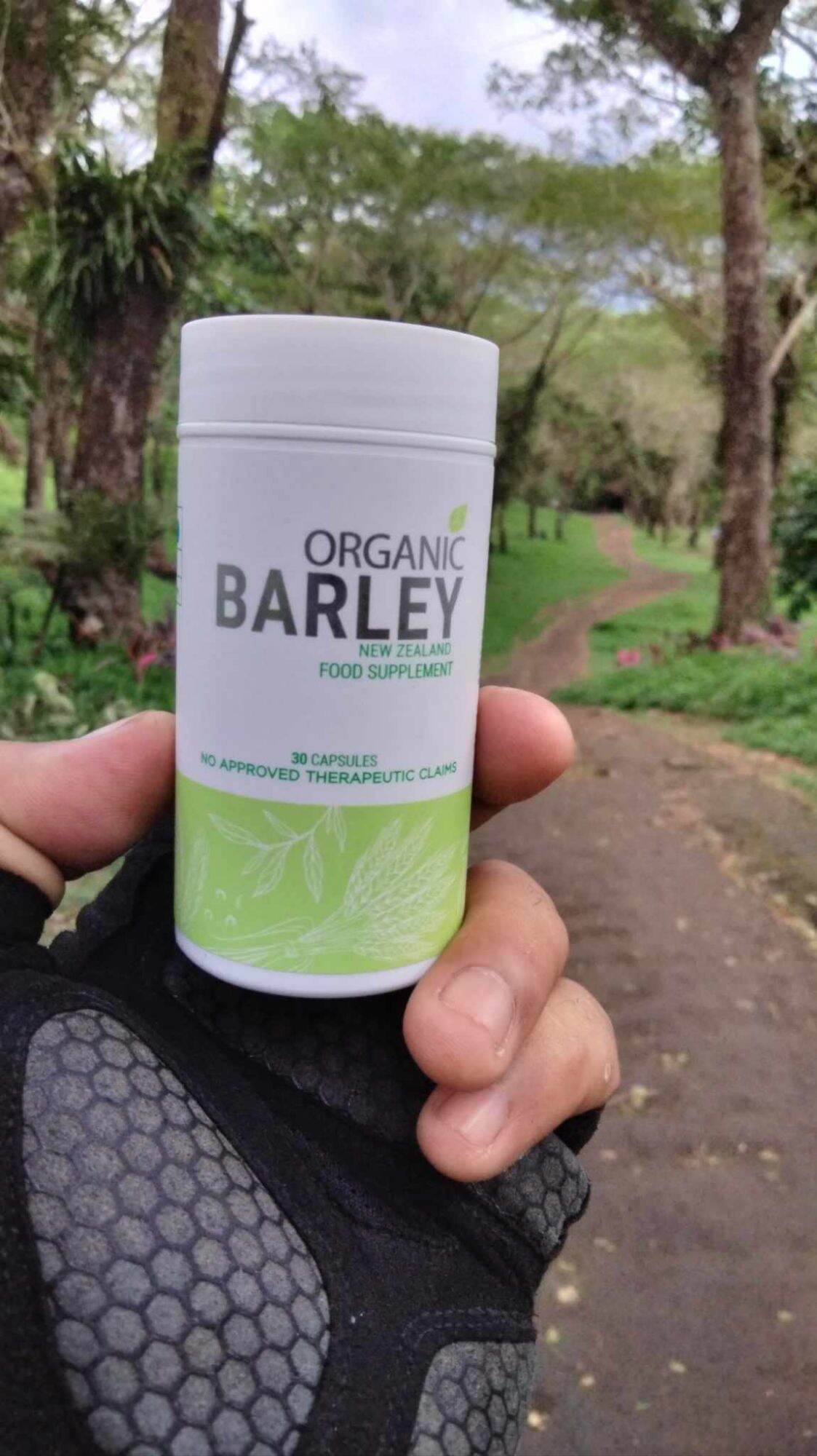 JC Organic Barley Capsule. Barley grass | Lazada PH