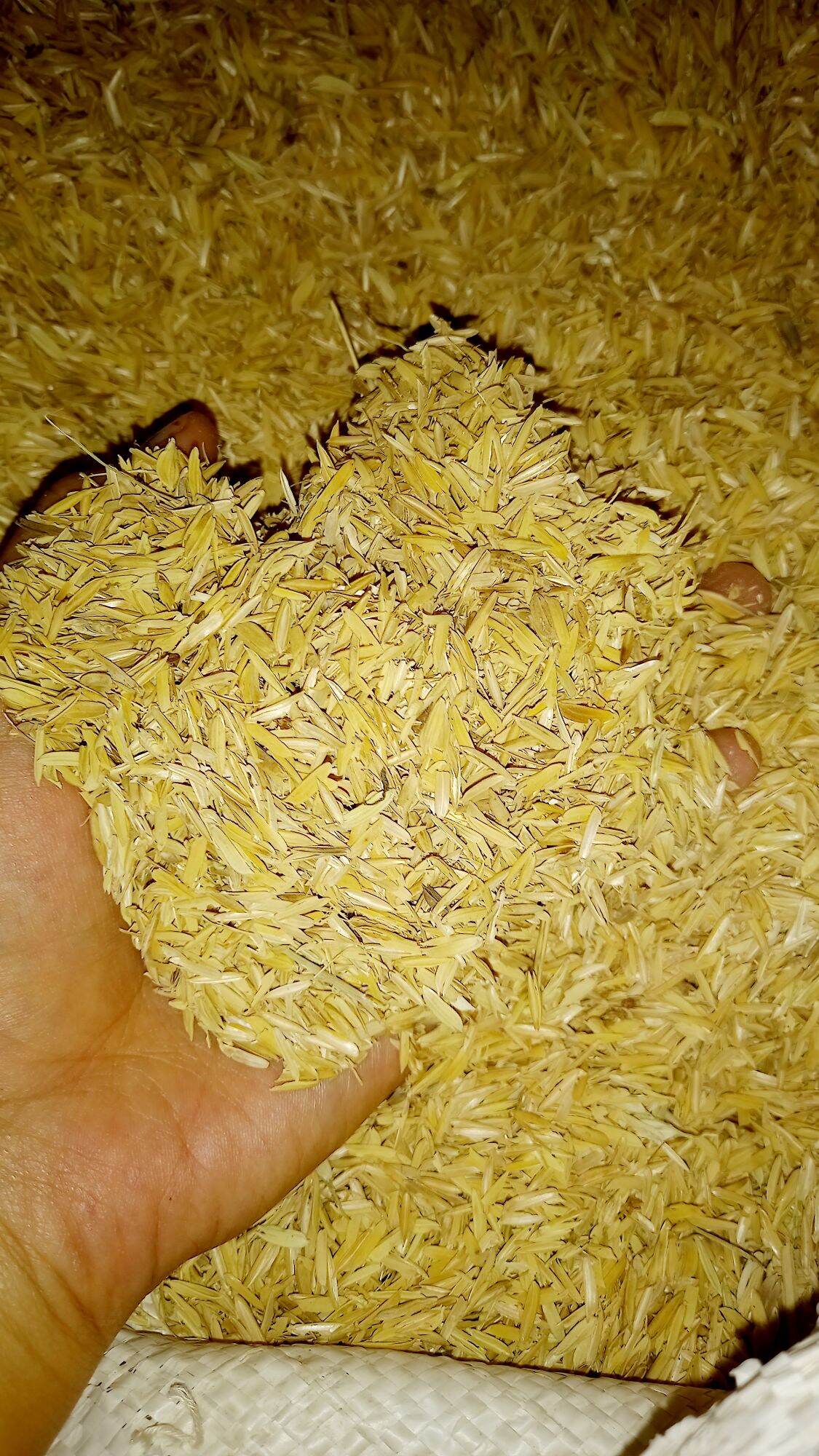 86L Sinaghaya & SRDC's Ipa ng Palay 86 liters per Pack Fresh Rice Hull ...
