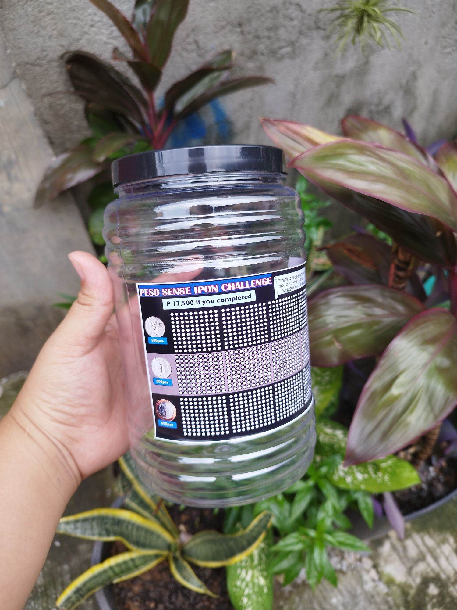 coins 5,10, 20 PESOS SENSE IPON CHALLENGE alkansya transparent clear ...