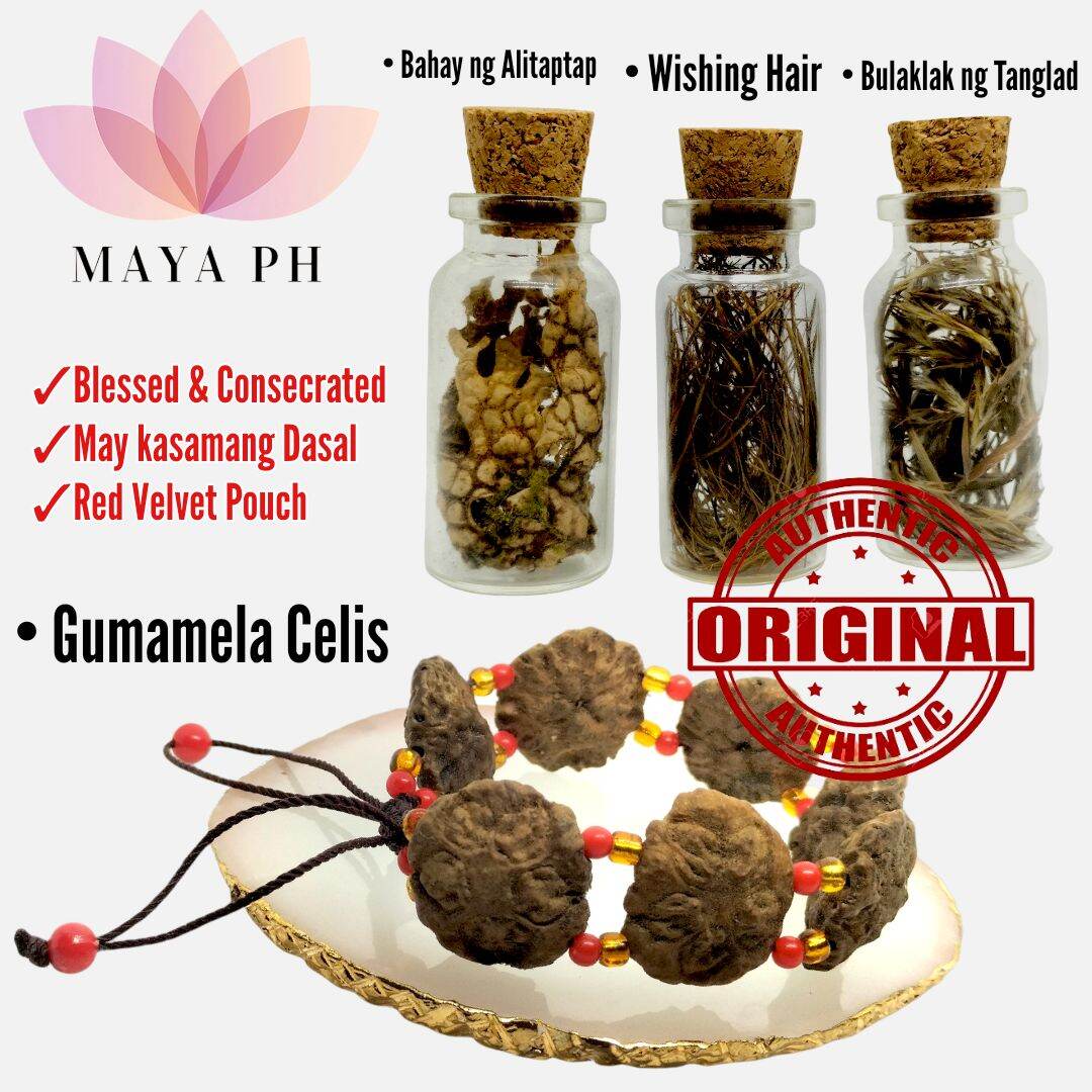 【Lucky Charm】Gumamela Celis Bahay ng Alitaptap Wishing Root/Hair ...