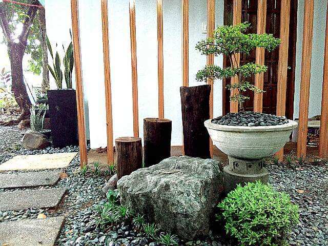 BUSHIDA BUCIDA JAPANESE BONSAI LAYERING FRONT YARD OUTDOOR DESIGN 1ft ...