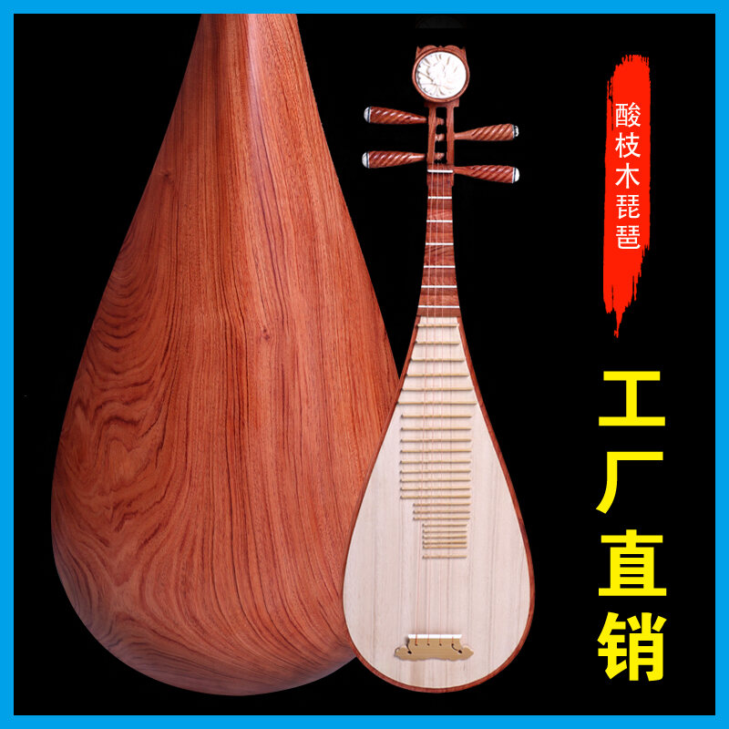 Min Music Device Sandal Wood Mahogany Pipa Beginner Beginner Children ...