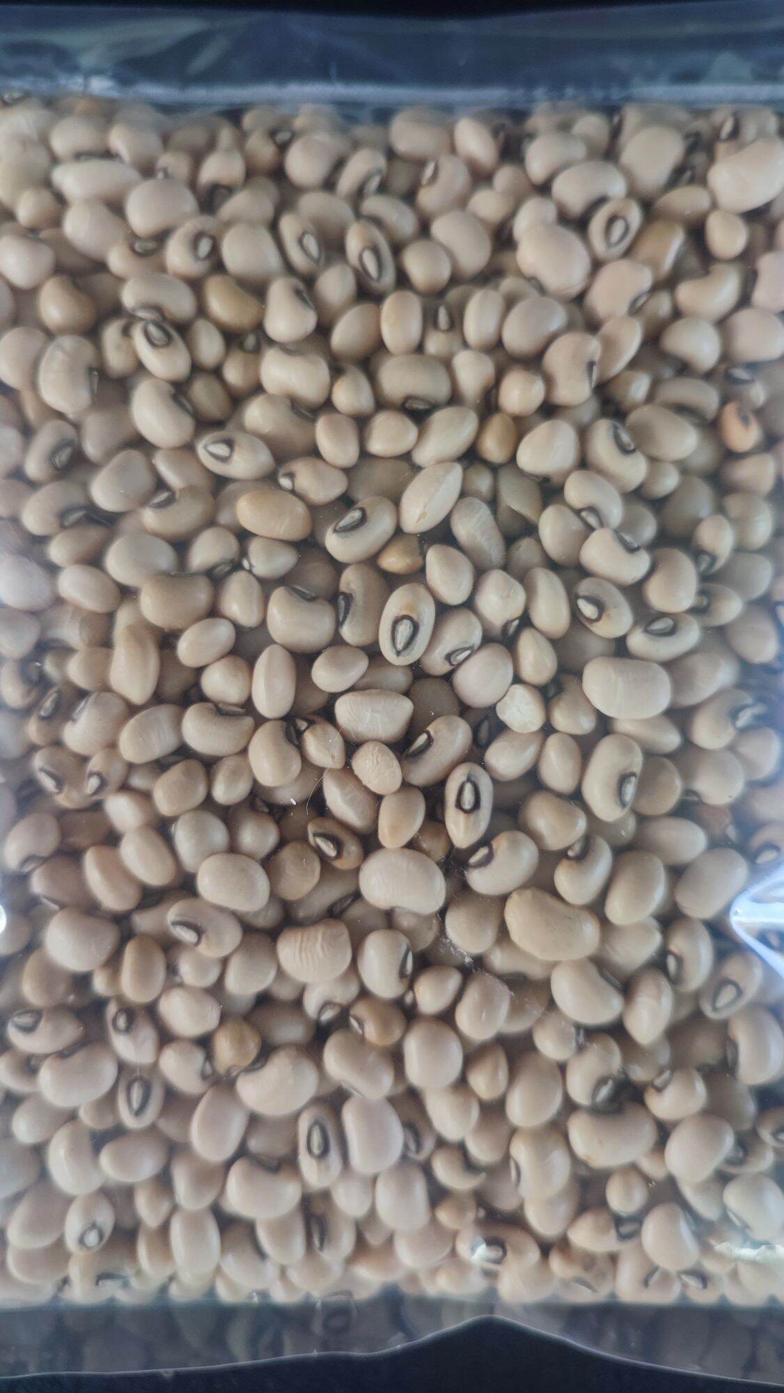 1 Kg Buto ng Sitaw Class AAA Quality BUTO NG SITAO | Lazada PH