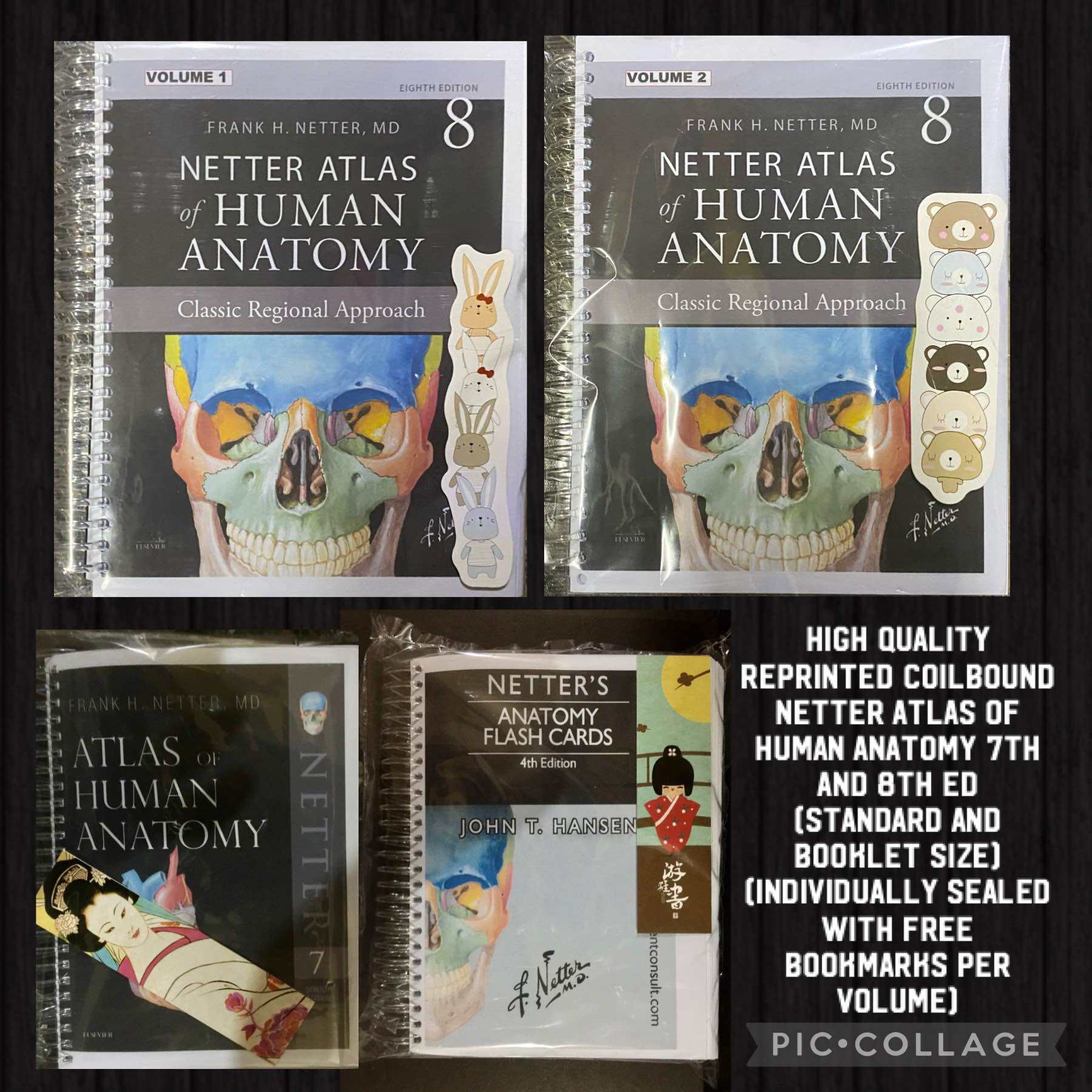 Netter’s Atlas of Human Netter’s Anatomy Flashcards Netter Anatomy ...