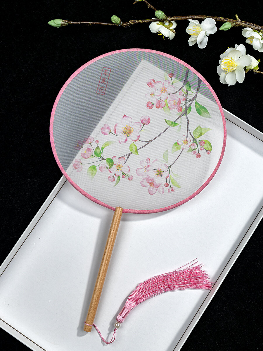 Translucent Archaistic Circular Fan Hanfu Ancient Costume Dance Fan ...