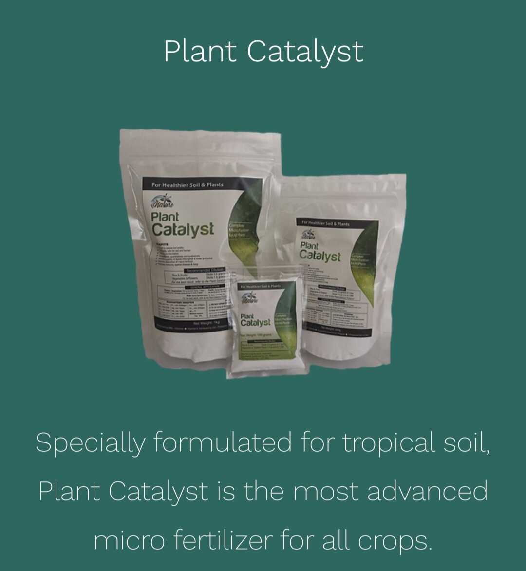 Green Nature Plant Catalyst Micro Fertilizer 1 kg | Lazada PH