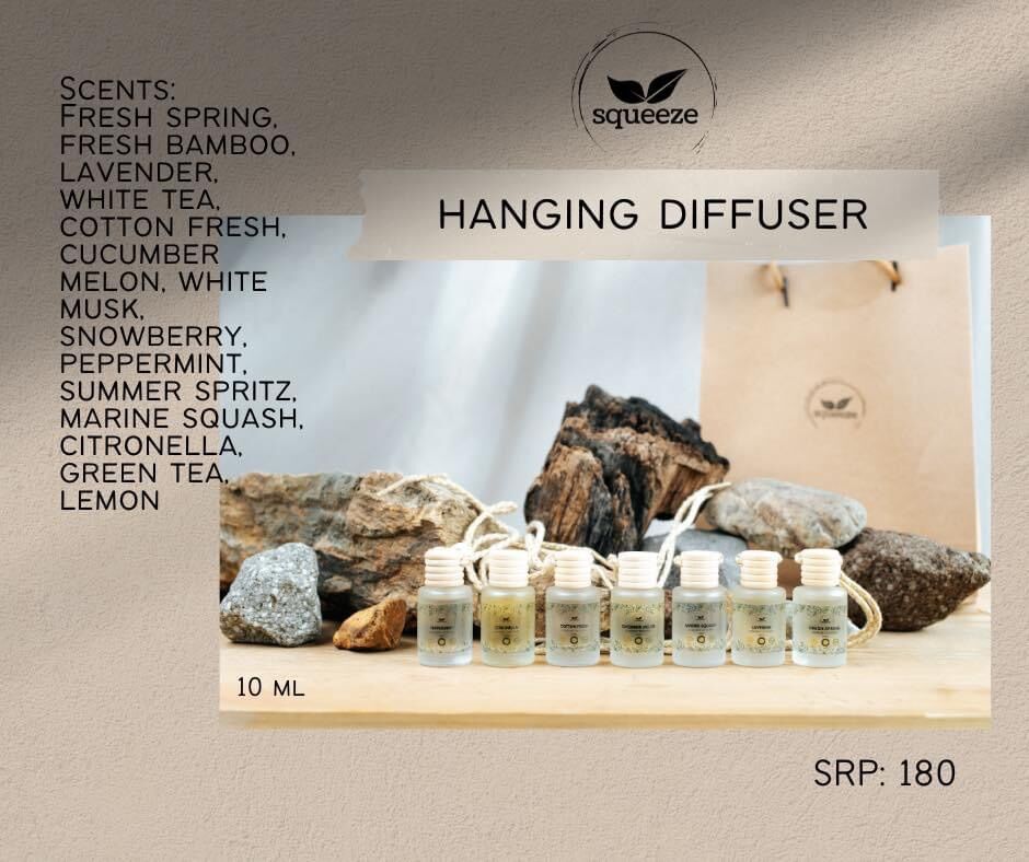 Hanging Diffuser | Lazada PH