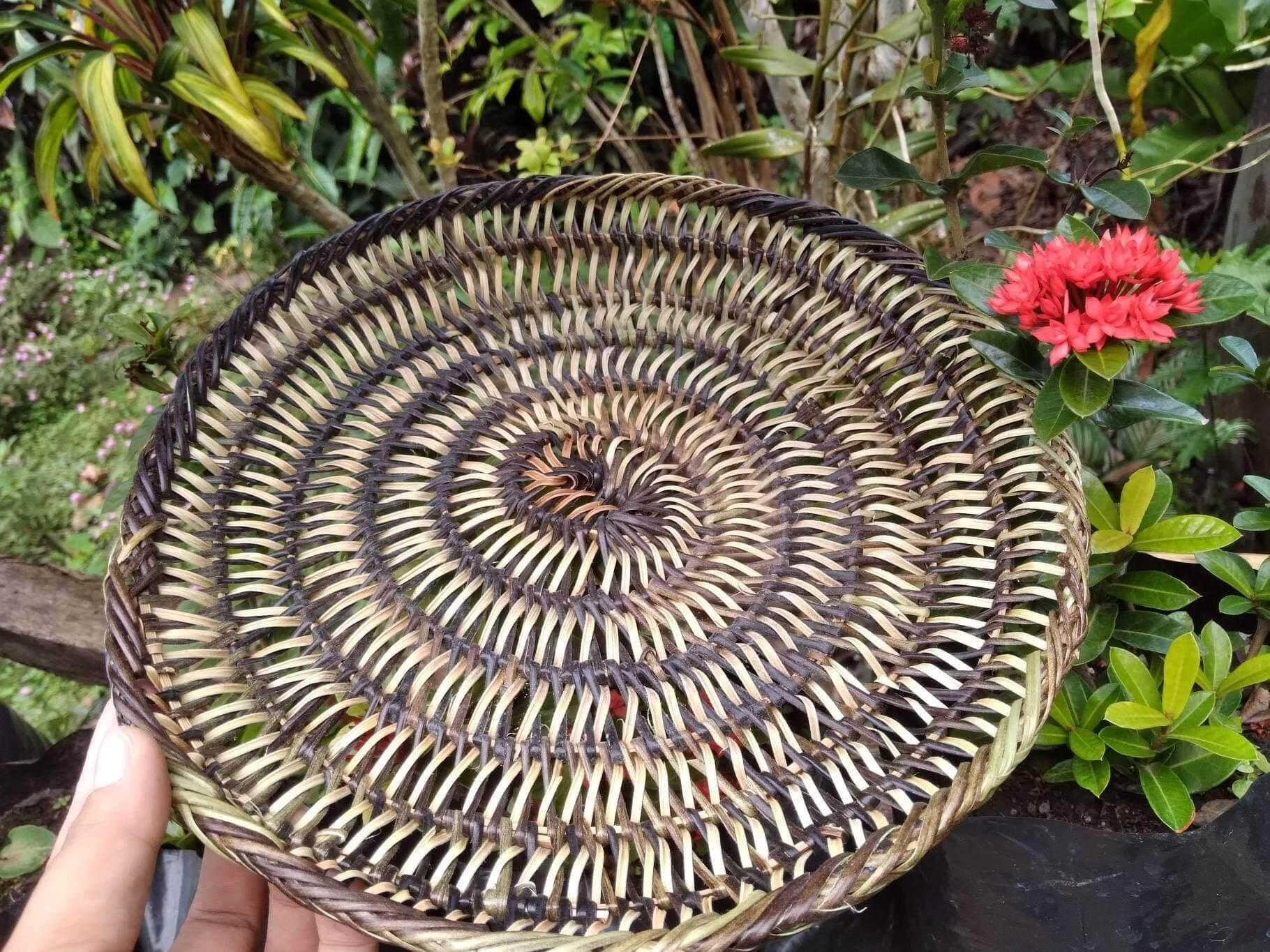 Nito Plate for All Occasions | Lazada PH