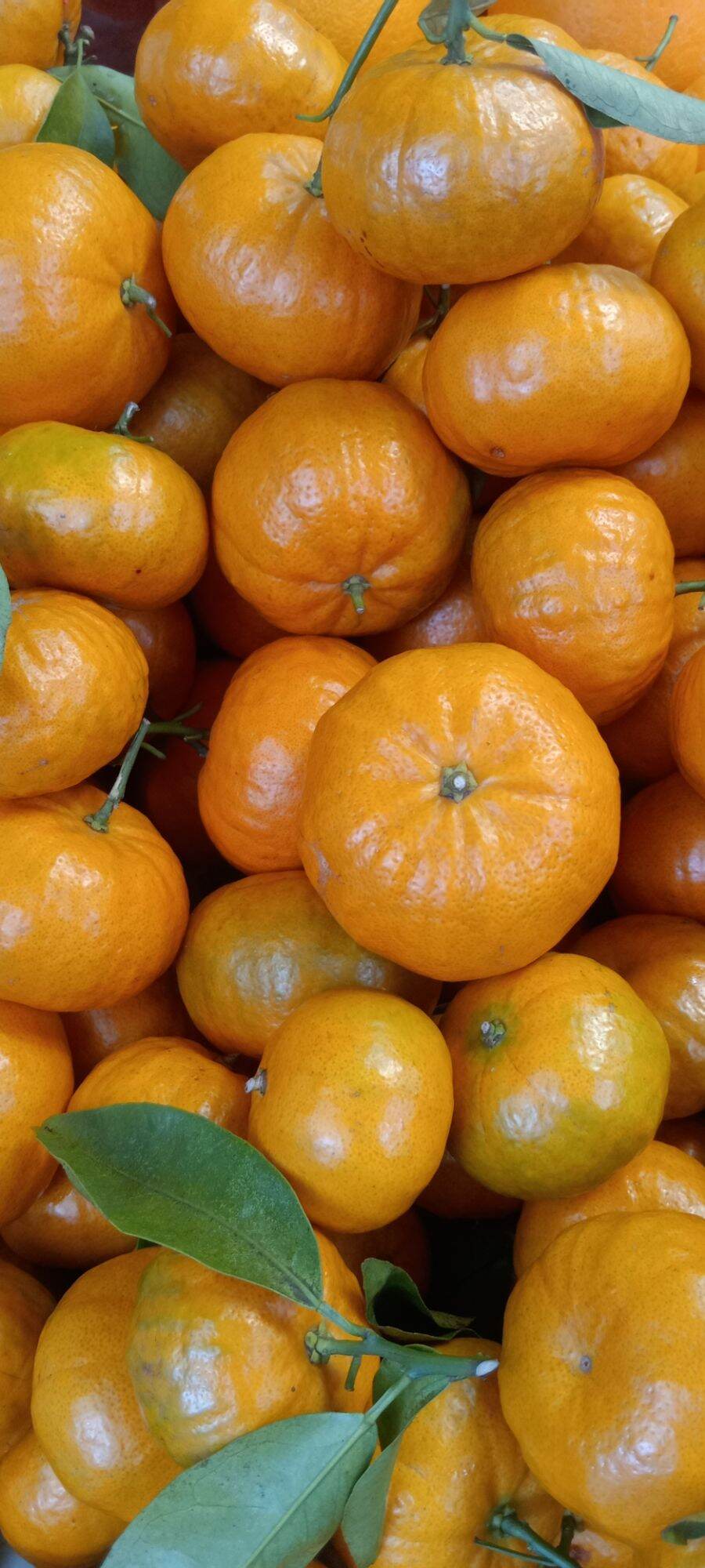 SWEET SUGAR KIAT 180/kilo | Lazada PH