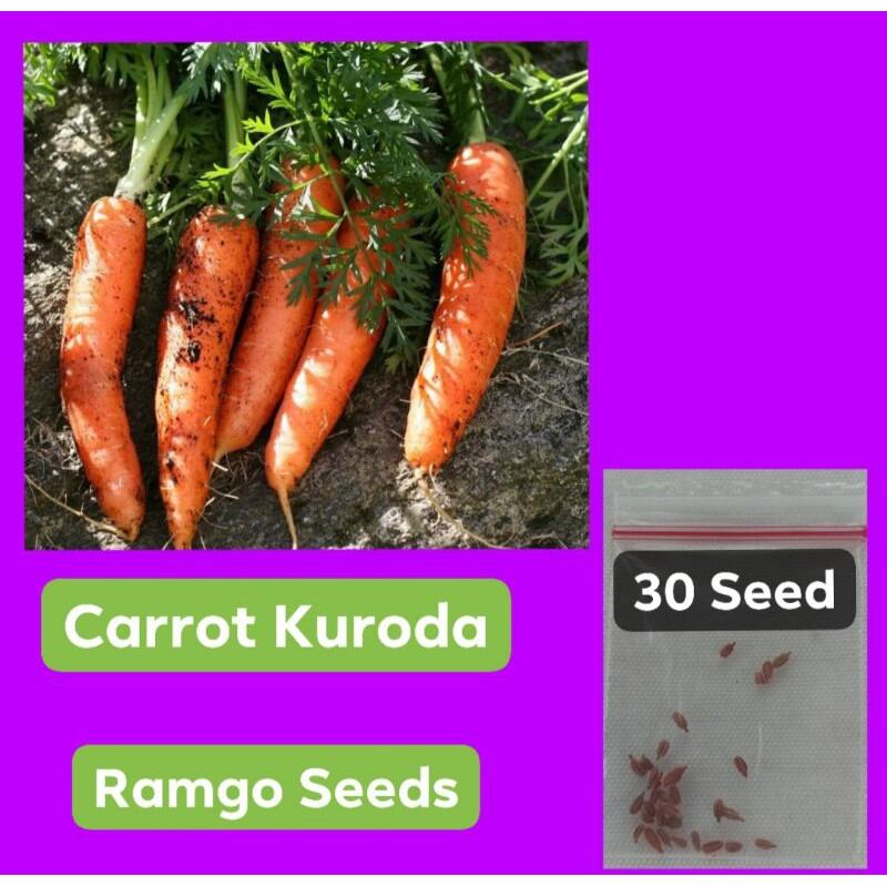 Carrot Seeds Kuruda (repack) | Lazada PH