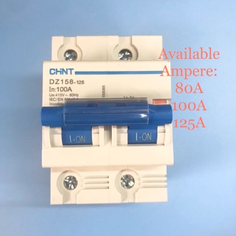 Chint Miniature Circuit Breaker 125amp 2 Pole Lazada Ph