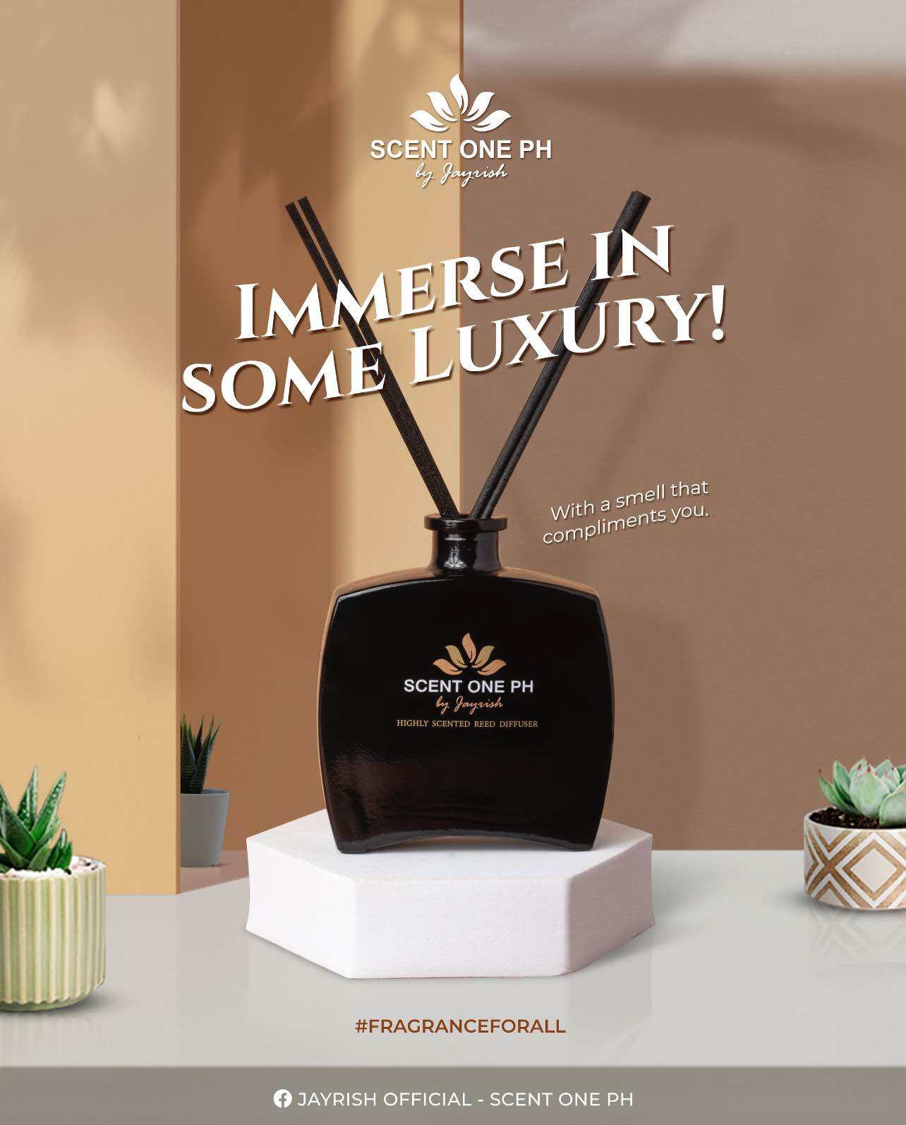 Reed Home Diffuser | Lazada PH