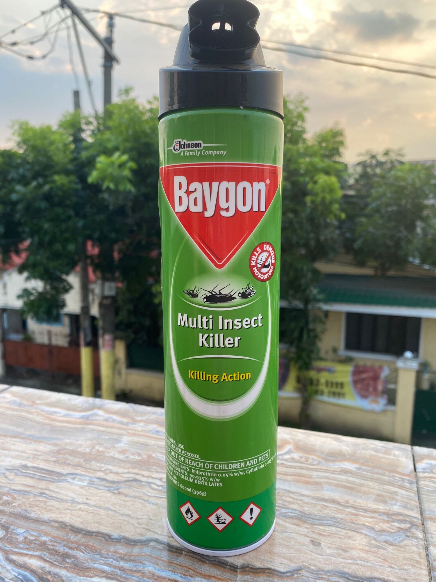 BAYGON MULTI INSECT KILLER SPRAY 600ml | Lazada PH