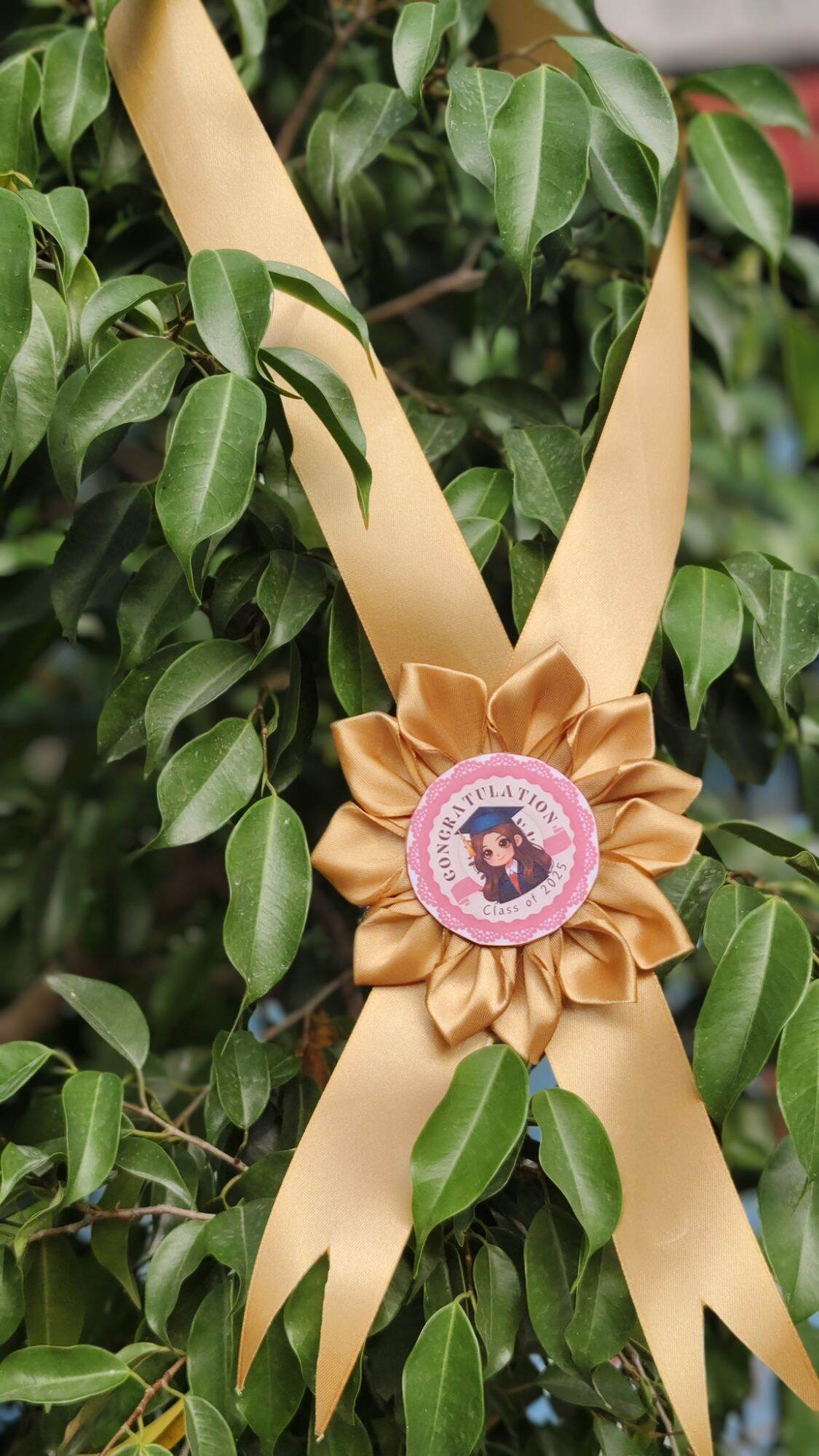 Graduation Sash Garland – Class of 2025 | Lazada PH